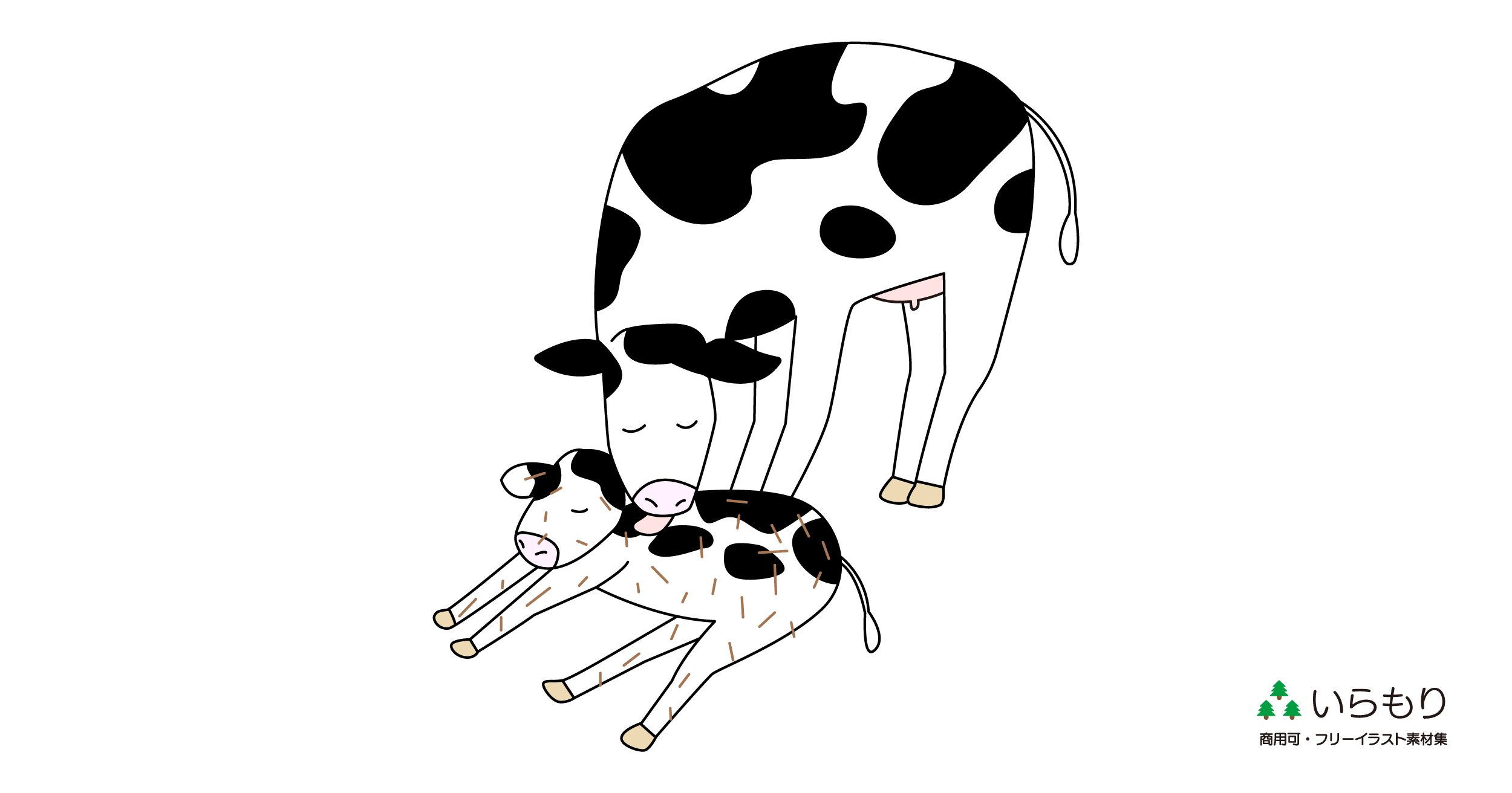 生まれたばかりの子牛を舐める母牛 | 無料イラスト素材•商用可|いらもり